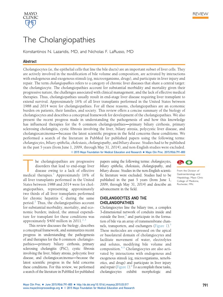 The Cholangiopathies (2015) | PDF | Digestive System | Gastroenterology