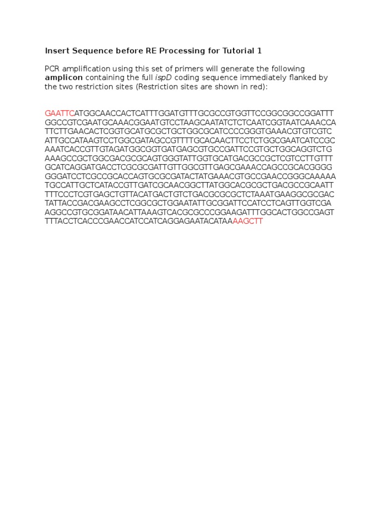 Insert Sequence Before RE Processing | PDF