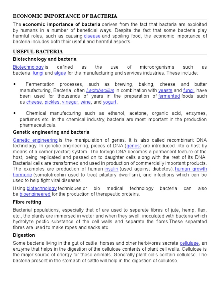 Economic Roles of Bacteria Explained | PDF | Bacteria | Biotechnology
