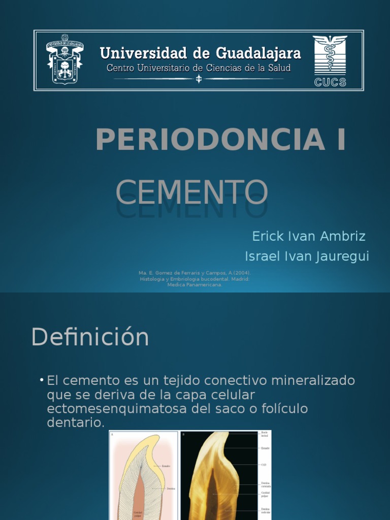 Cemento Radicular | PDF | Diente humano | Especialidades Medicas