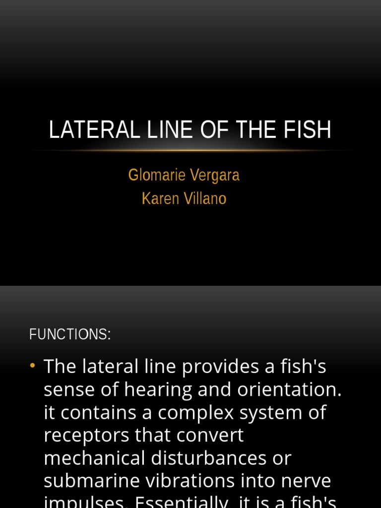 Lateral Line of The Fish | PDF | Neuroscience | Neuropsychological ...