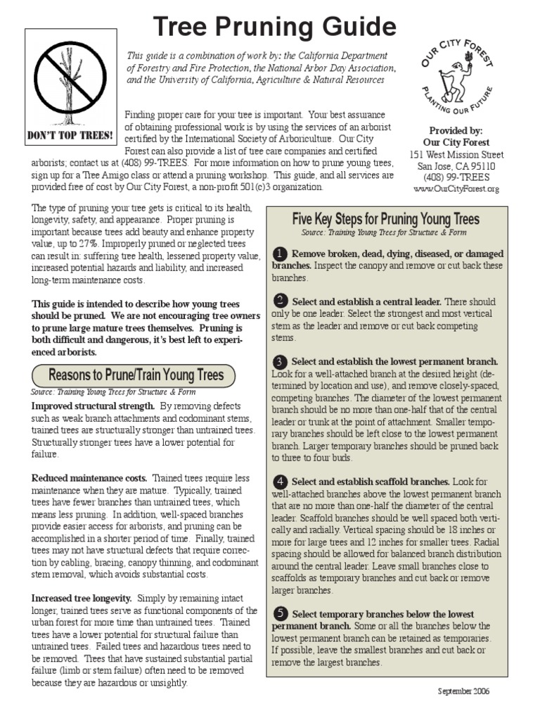 tree pruning guide.pdf | Pruning | Trees