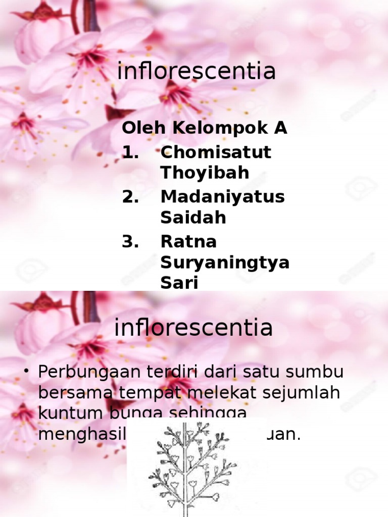 Struktur dan Jenis Perbungaan Tanaman | PDF