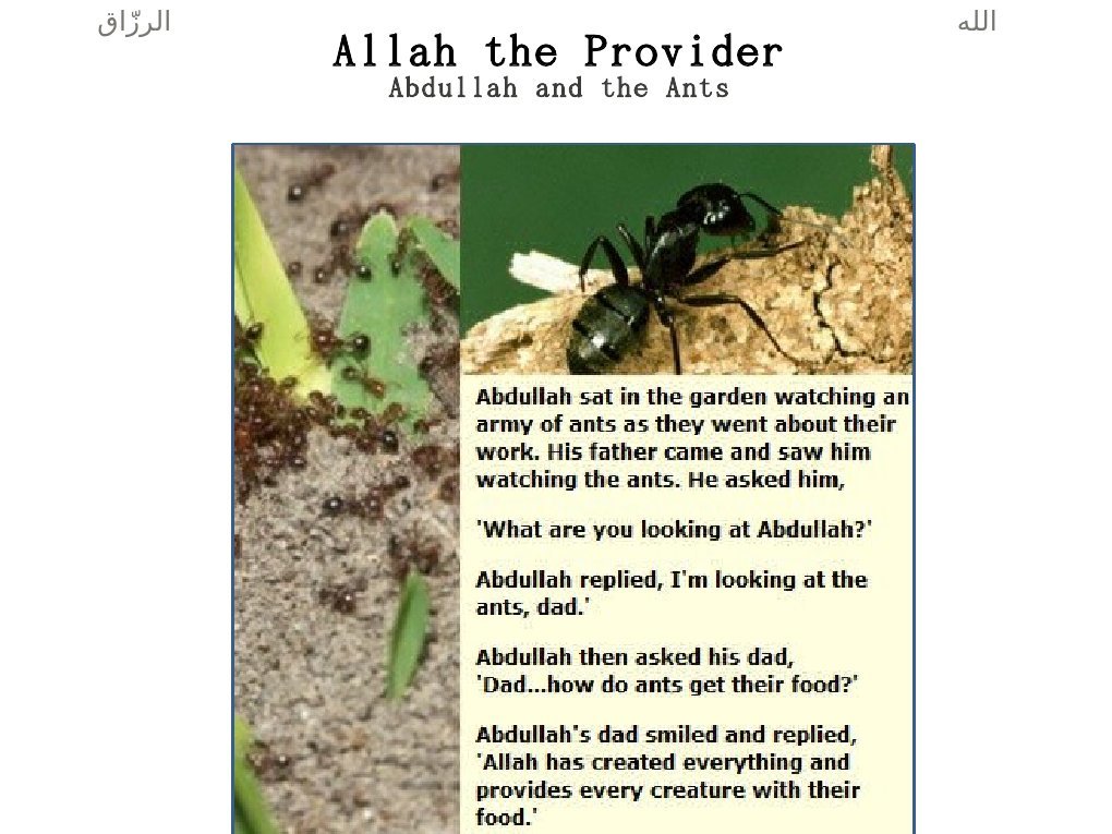 Allah The Provider | PDF