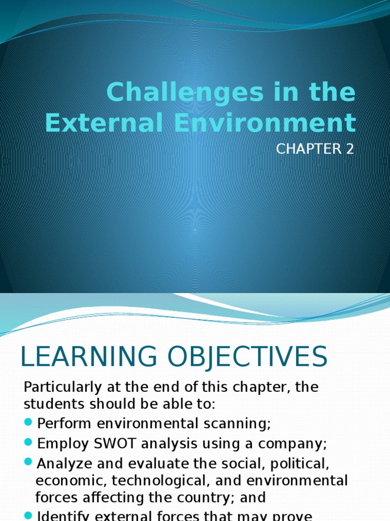 Challenges in The External Environment | PDF | Business | Cognitive Science