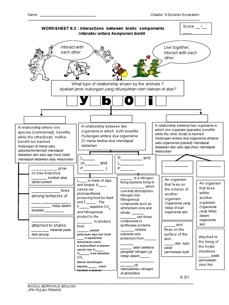 Biotic Interactions Worksheet | PDF | Biological Interactions | Symbiosis