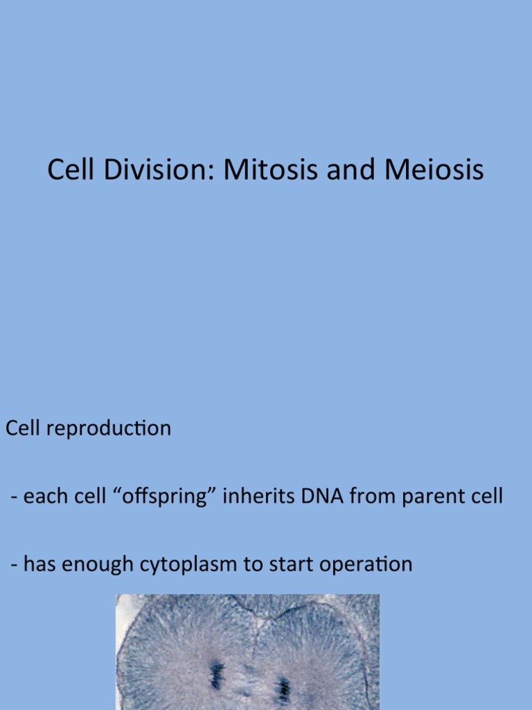 Zoo1 - 5 - Cell Division | PDF | Meiosis | Mitosis