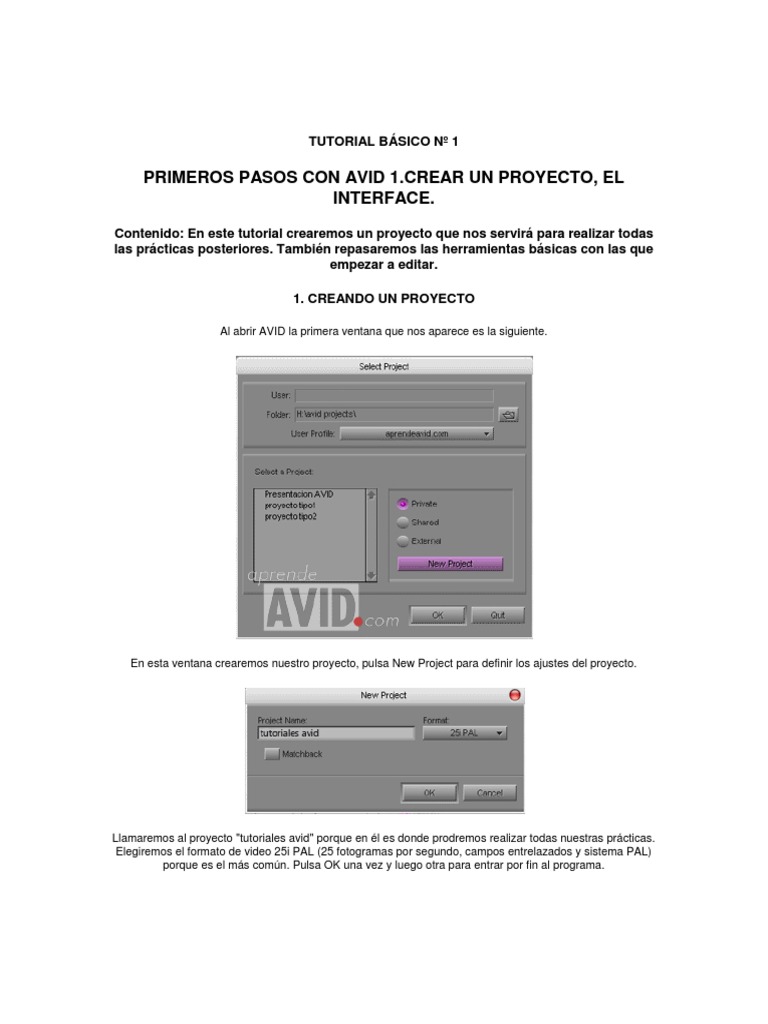 Primeros Pasos en Avid: Crear Proyecto | PDF | Color | Ventana ...
