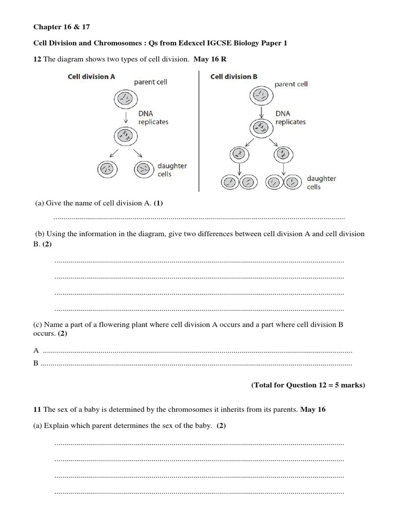 Cell Division Questions for IGCSE Biology | PDF | Science & Mathematics ...
