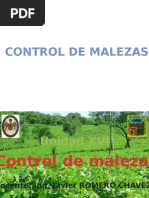 Ficha Técnica del Herbicida Velfosato | PDF | Absorción (Química) | Agua