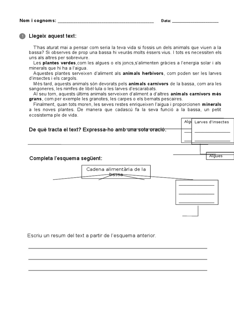 Textos Comprensió Lectora 6e | PDF