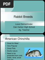 ARBA Official Breed ID Guide Rabbit Breed Showroom Variety Four or Six ...