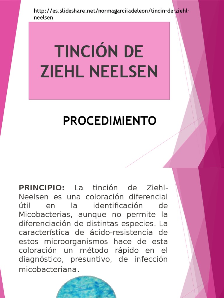 Diapositivas Tincion Ziehl-Neelsen | PDF