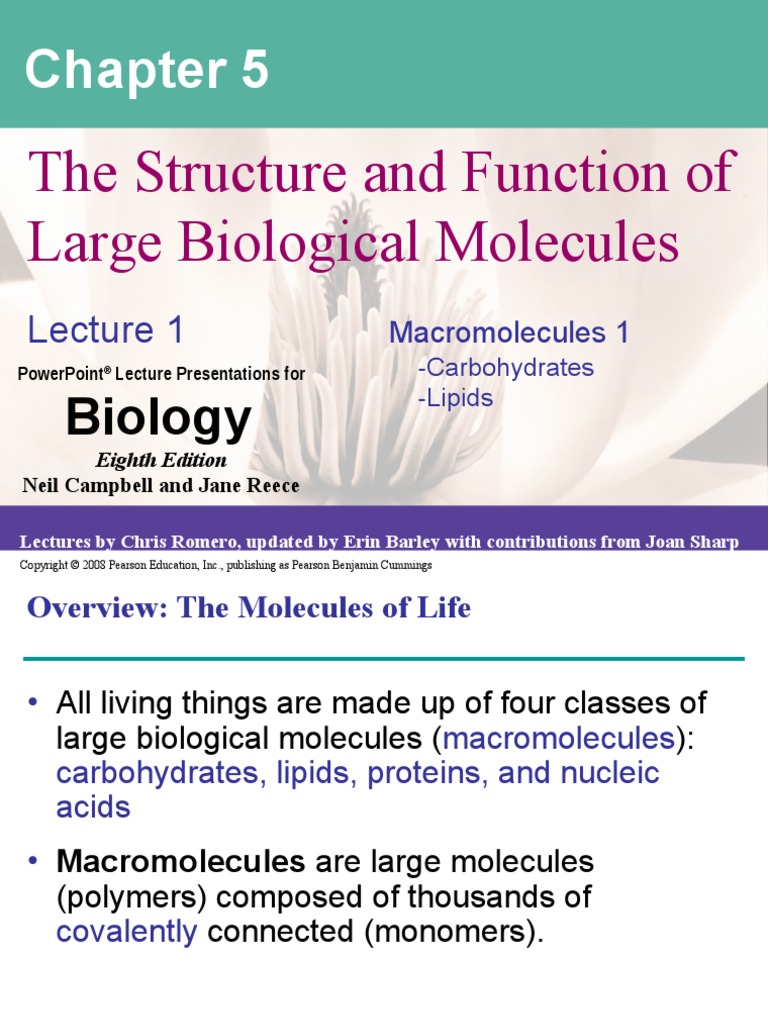 The Structure and Function of Large Biological Molecules: Biology | PDF ...