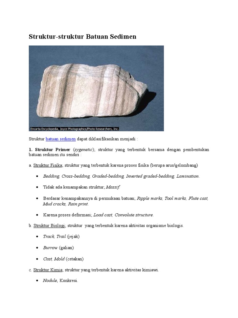 Struktur Sedimen | PDF