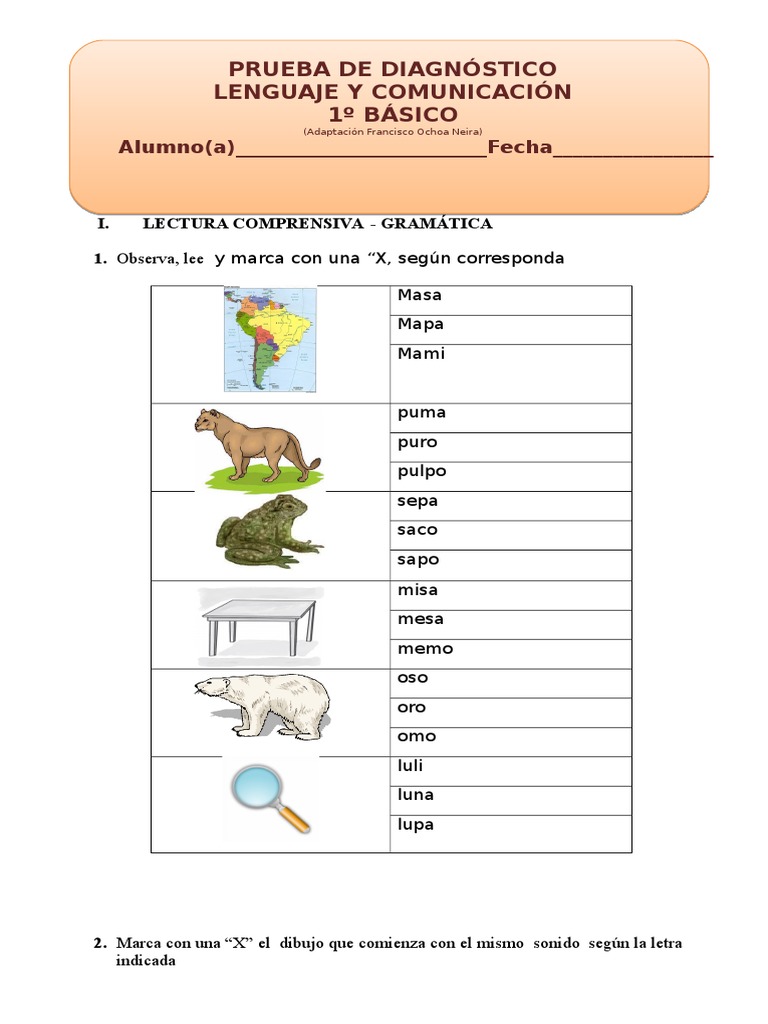 Prueba Diagnostico Lenguaje