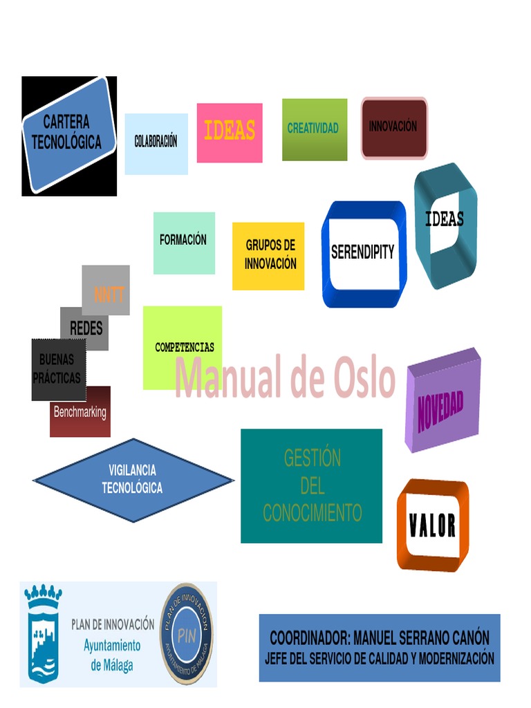 Manual De Oslo Pdf Pdf