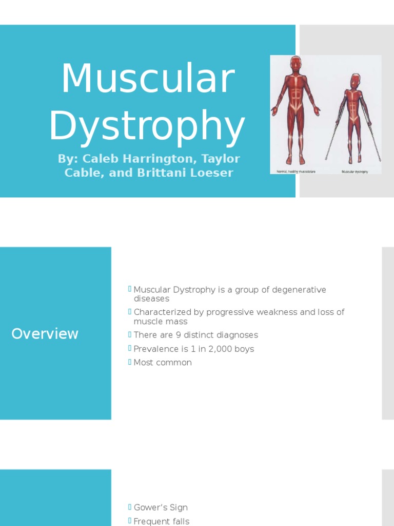 Muscular Dystrophy: By: Caleb Harrington, Taylor Cable, and Brittani ...