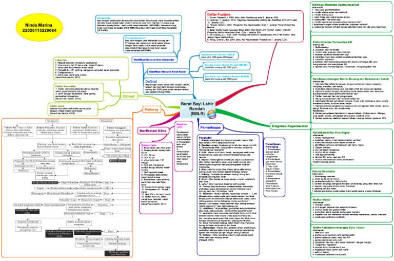 Berat Bayi Lahir Rendah (BBLR) Nama | PDF