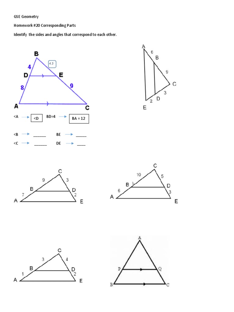 Homework#20 Corresponding Sides and Angles | PDF