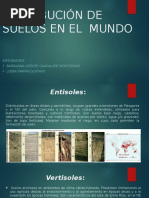 LITOSOLES | PDF | Suelo | Roca (geología)