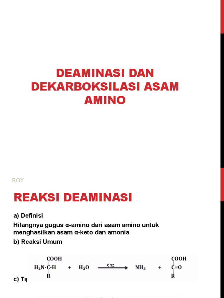 Reaksi Deaminasi Presentation | PDF