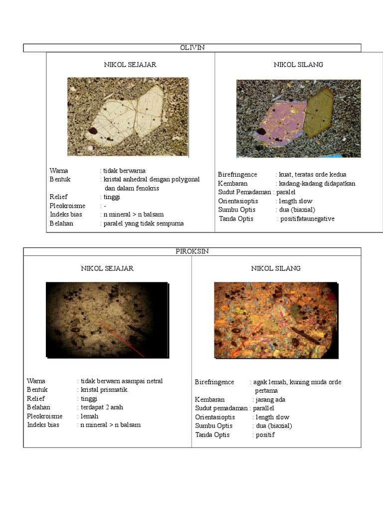 ALbum Minop | PDF | Memasak, Makanan, & Anggur | Seni