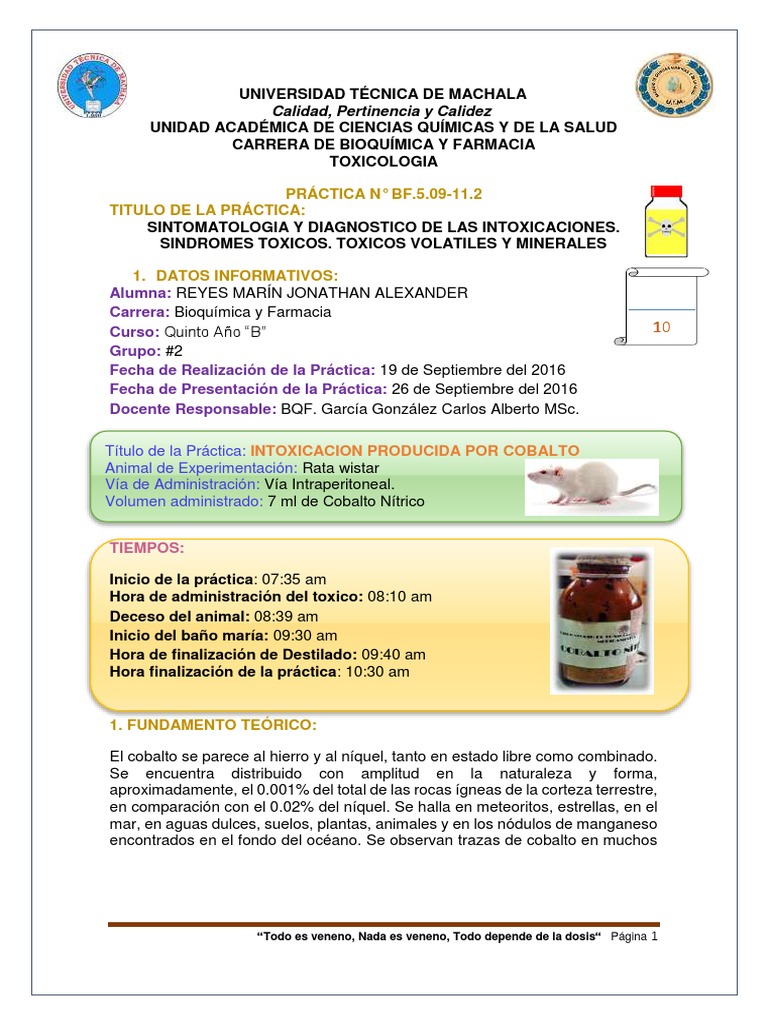 P11.2-Intoxicacion Producida Por Cobalto | PDF | Cobalto | Aluminio