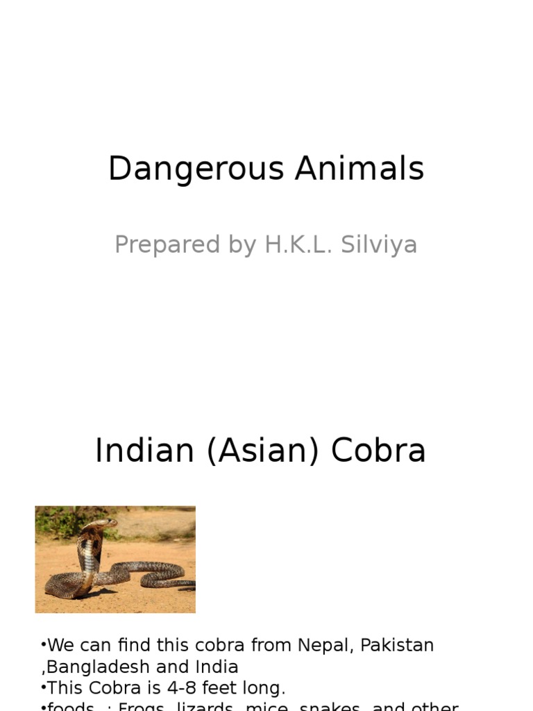 Dangerous Animals: Prepared by H.K.L. Silviya | PDF