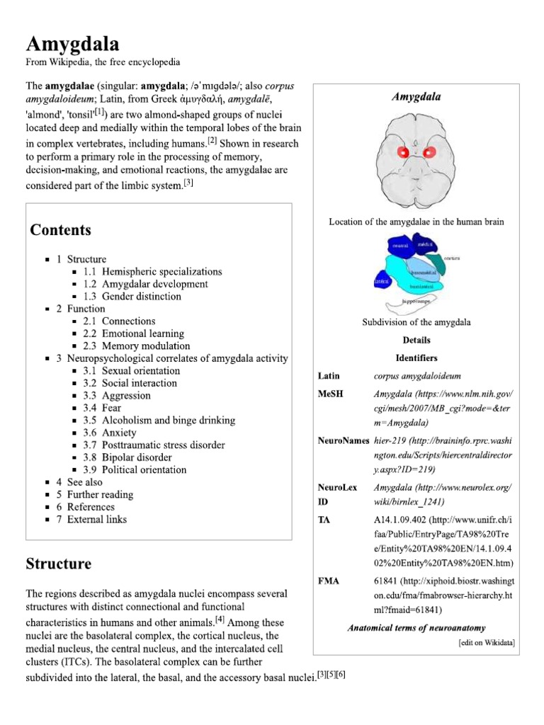 Amygdala PDF | PDF