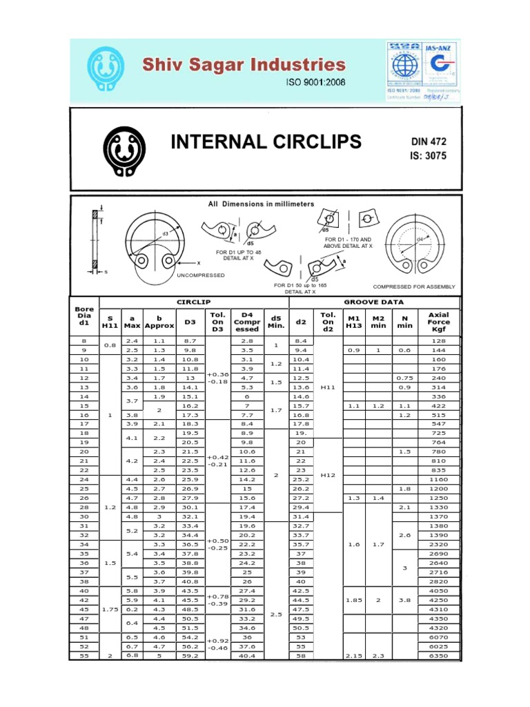 Int Circlip PDF | PDF