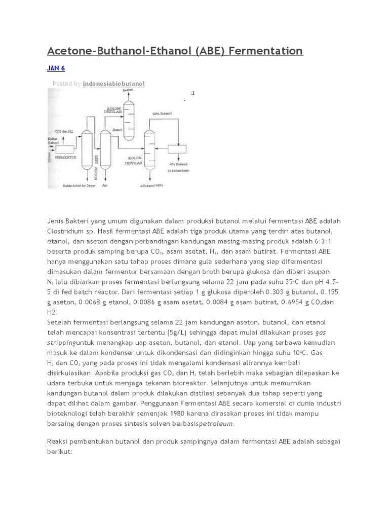 Fermentasi Bio Butanol | PDF