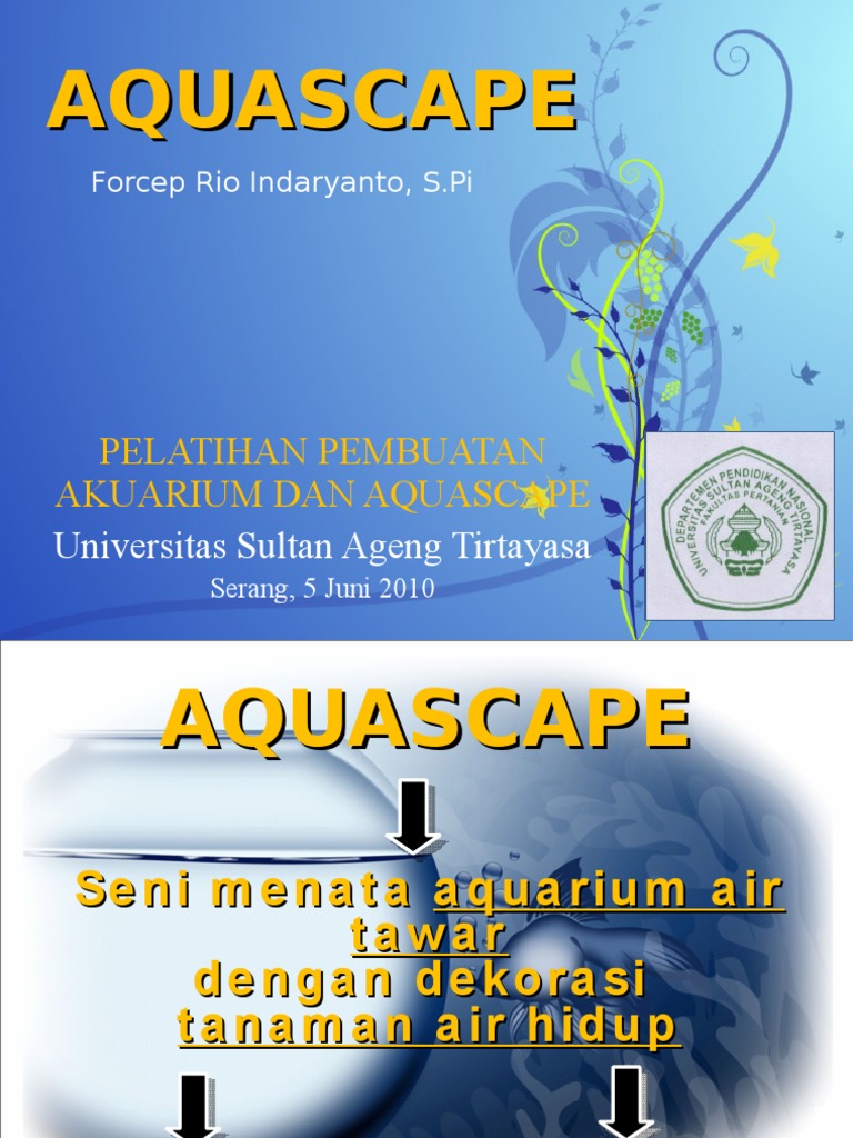 Aquascape | PDF
