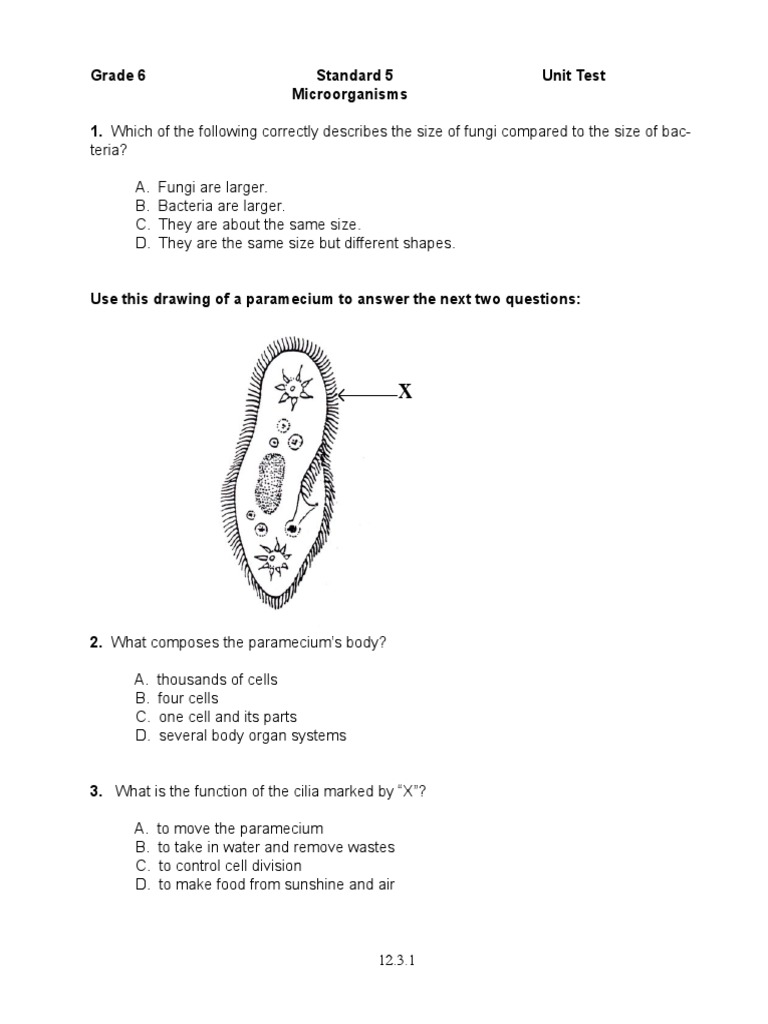 Micro Organisms | PDF | Experiment | Microorganism