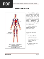 Lesson Plan Circulatory System | PDF | Circulatory System | Artery