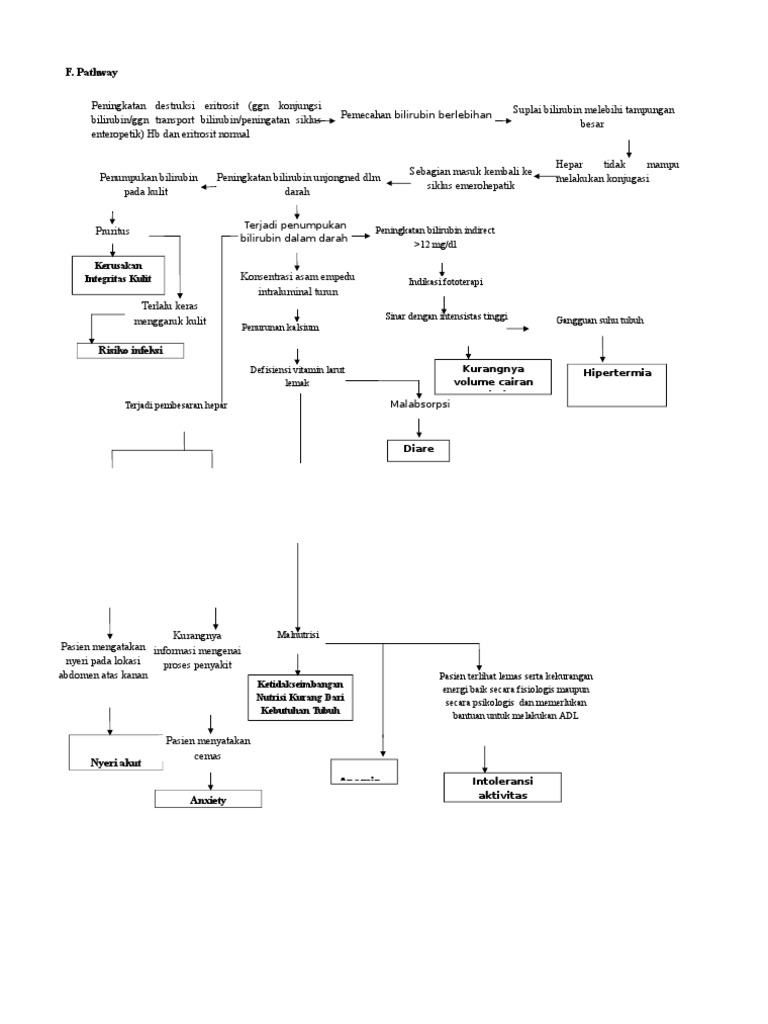 Pathway Ikterus Fix | PDF | Sains & Matematika