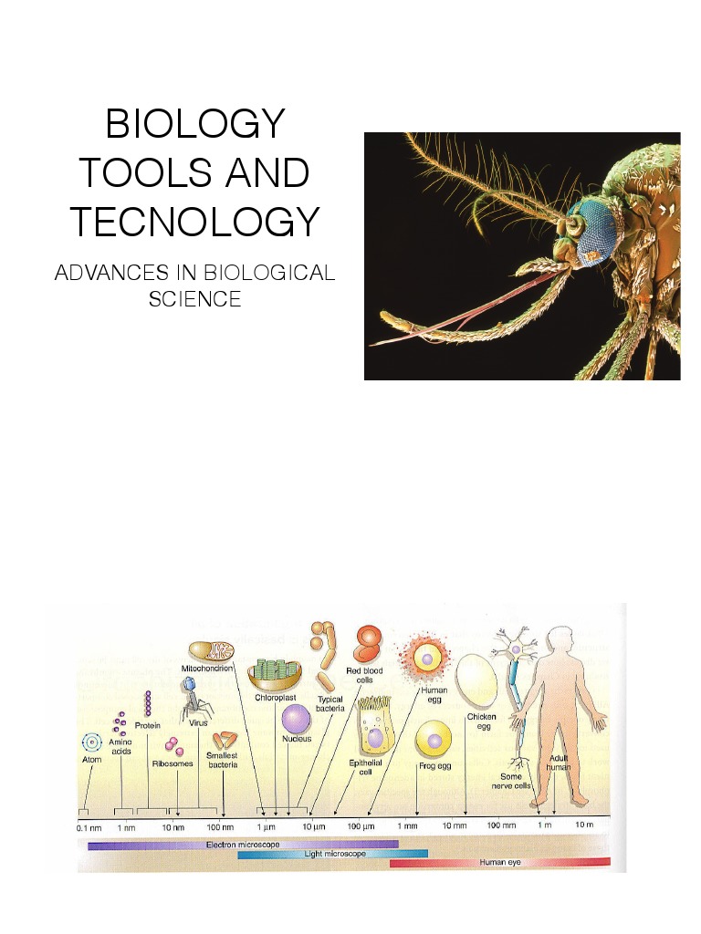 Biology Tools and Tecnology | PDF