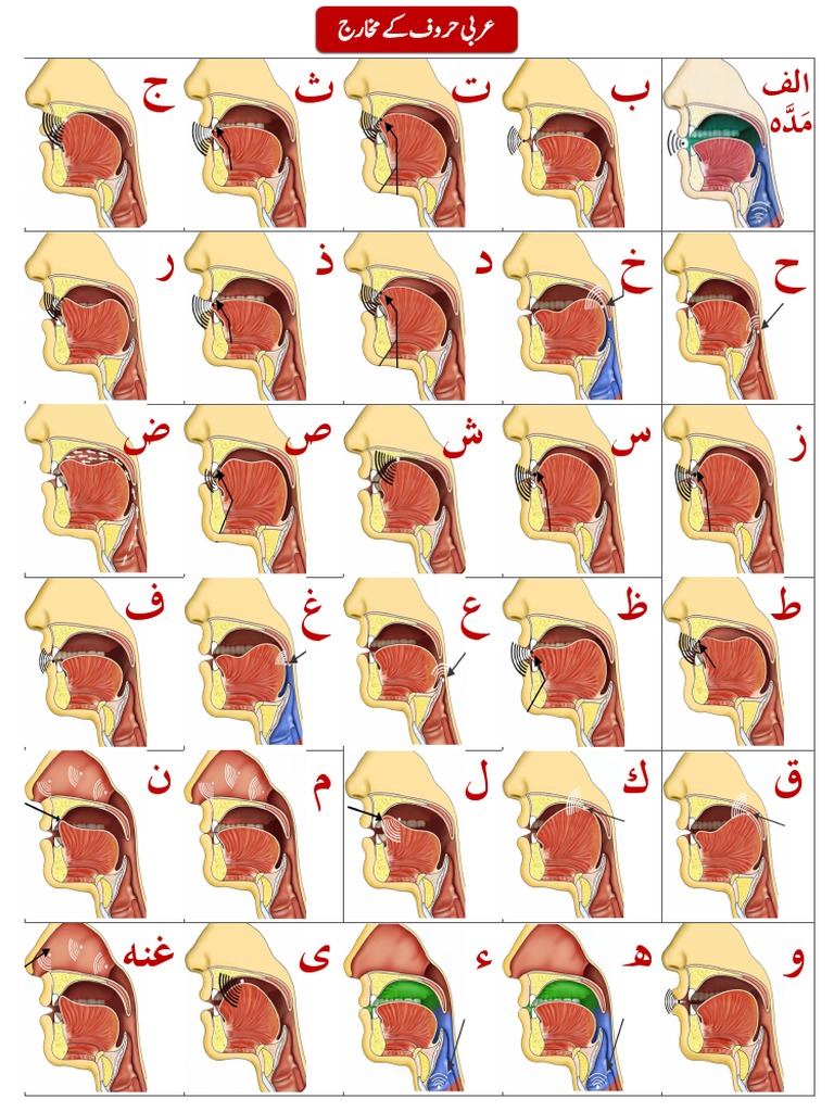 Makharij Big Poster PDF | PDF