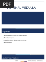Medigrip Sizing Chart | PDF | Clinical Medicine | Limbs (Anatomy)