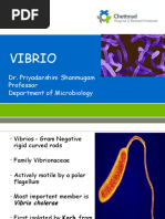 Package Insert - API 50 CHL Medium | PDF | Infection | Microbiology