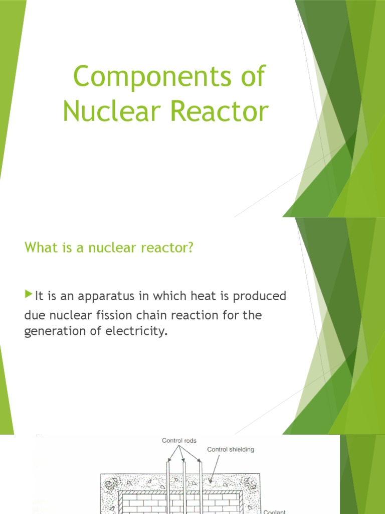 Components of Nuclear Reactor | PDF | Nuclear Reactor | Nuclear Fuel