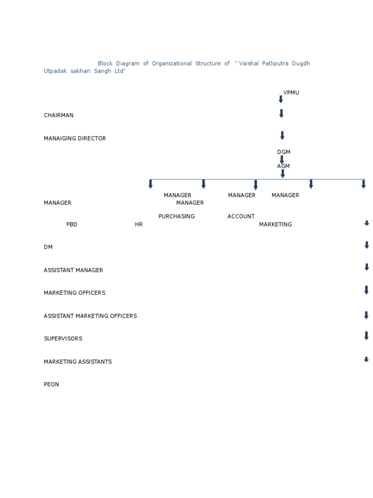 Block Diagram of Organizational Structure of " Vaishal Patliputra Dugdh ...