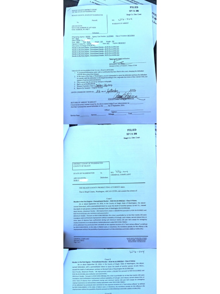 Arcan Cetin Charging Documents | PDF