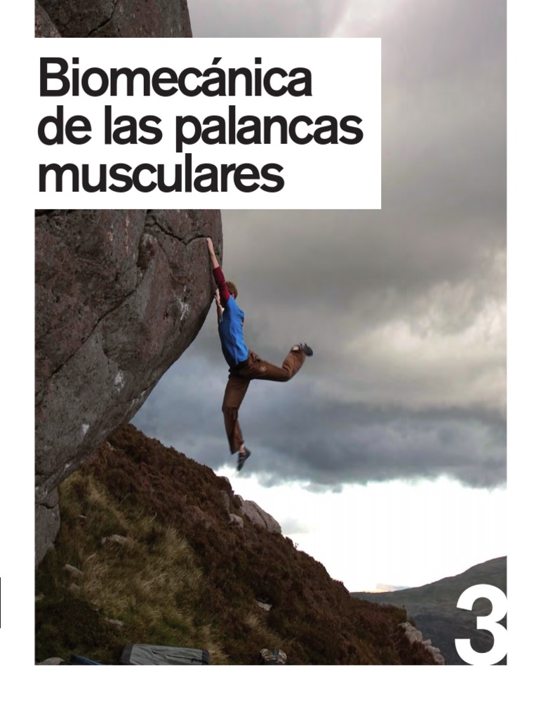 Biomecanica de Las Palancas Musculares | PDF | Codo | Músculo