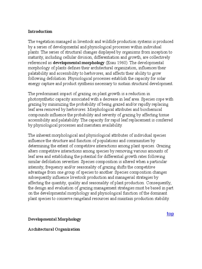 Developmental Morphology and Physiology of Grasses | PDF ...