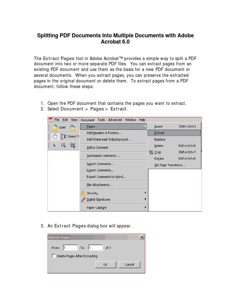 Splitting PDF Documents Into Multiple Documents With Adobe Acrobat 6.0 | PDF
