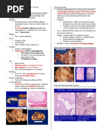 Amboss Notes | PDF | Medical Specialties | Diseases And Disorders