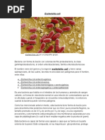 Urbanorum SPP | PDF | Heces | Microorganismo