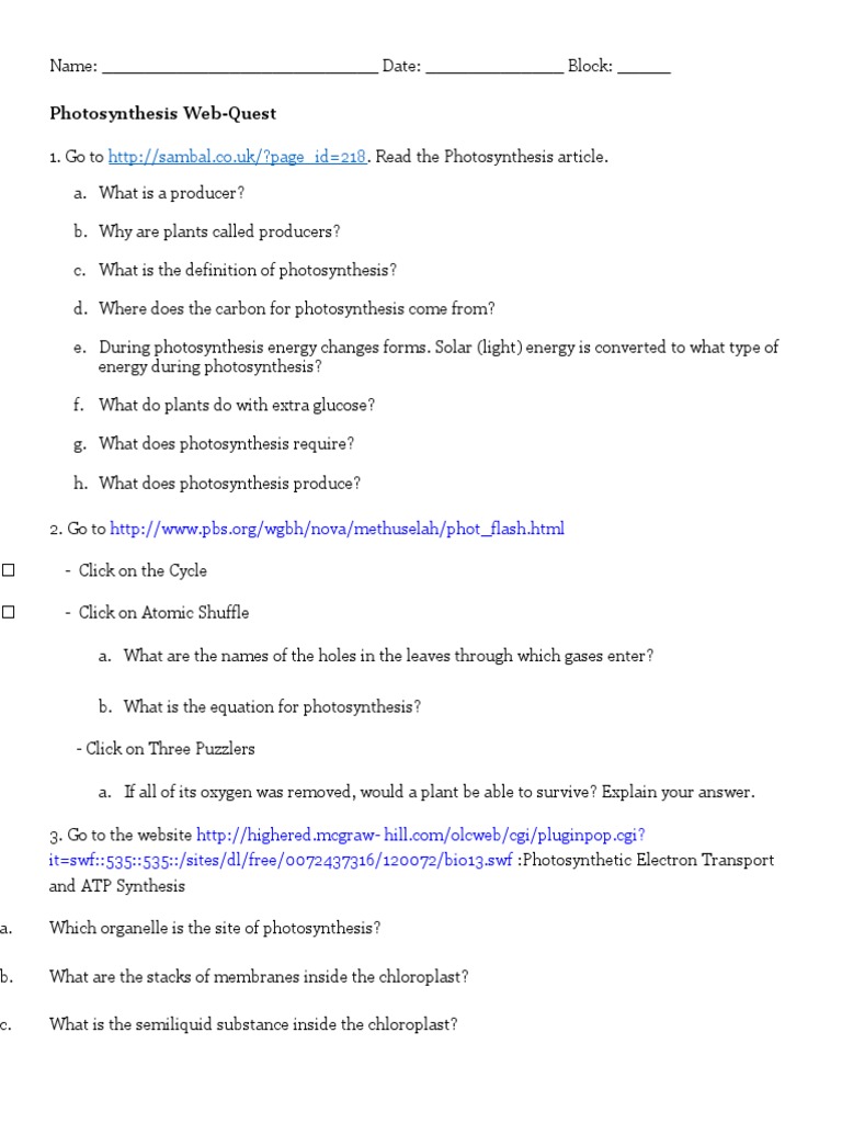 Photosynthesis Webquest | PDF