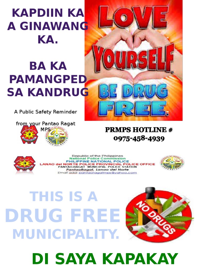 Public Safety: Drug-Free Municipality | PDF
